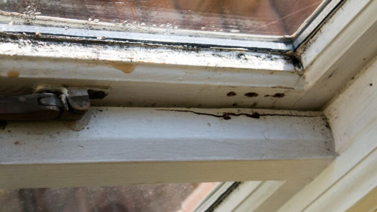 Top 7 Causes of Leaking Windows