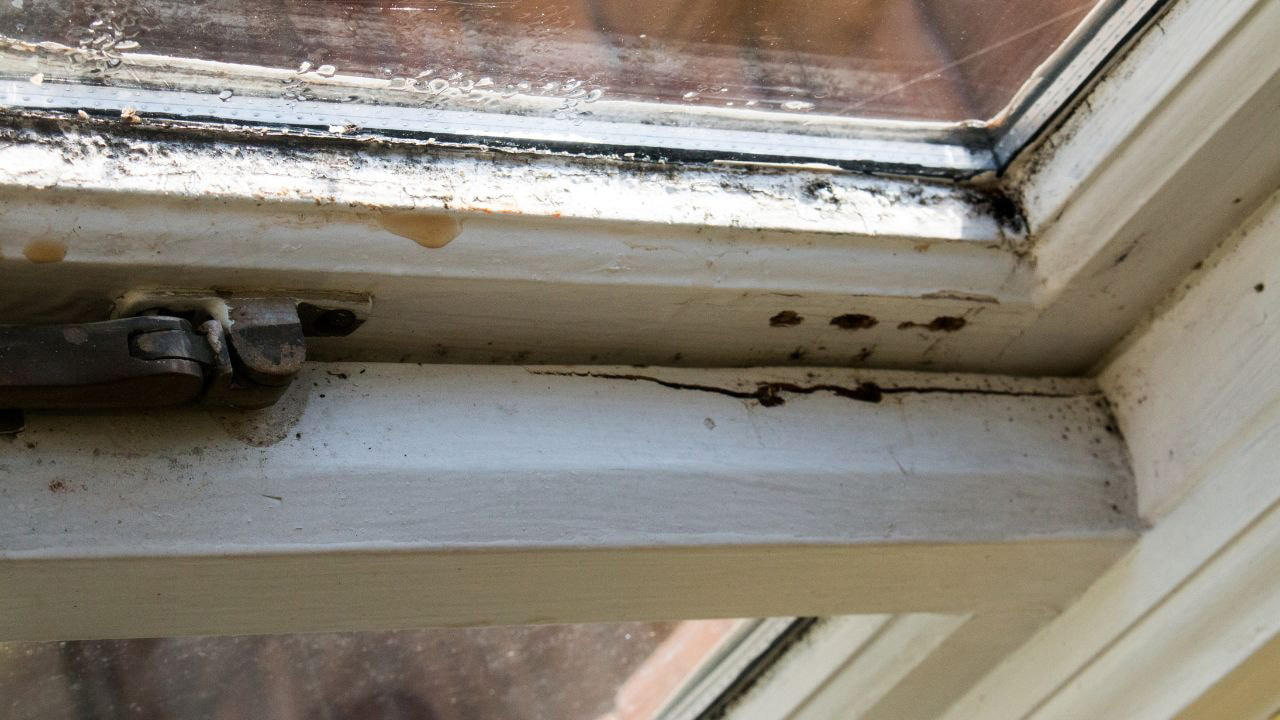 Top 7 Causes of Leaking Windows